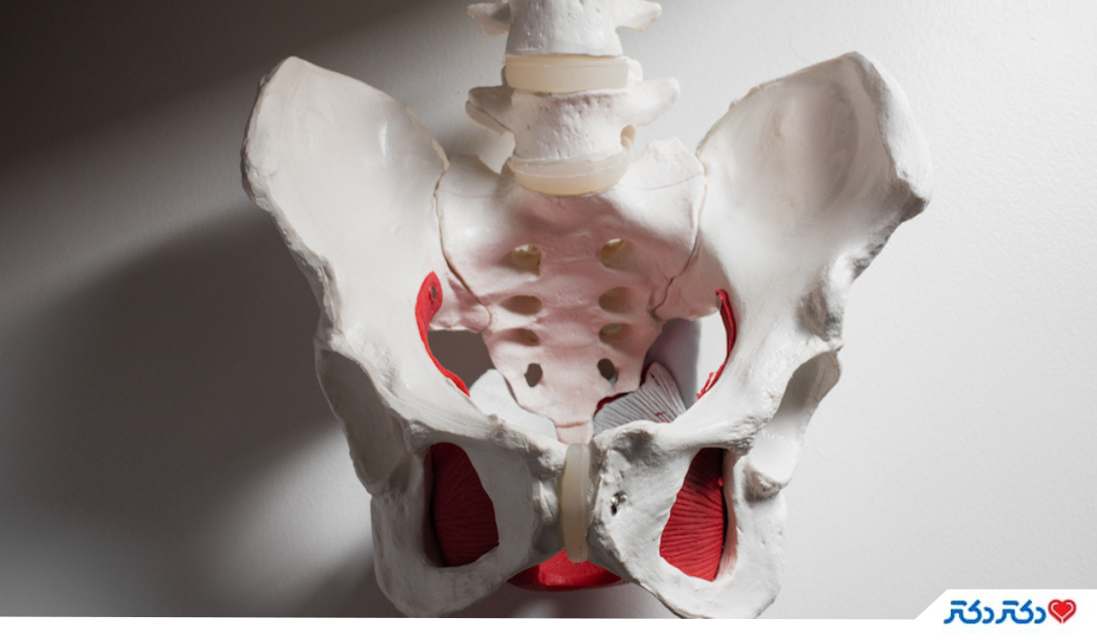 درد لگن نشانه چیست؟ علائم، تشخیص و درمان آن در زنان و مردان