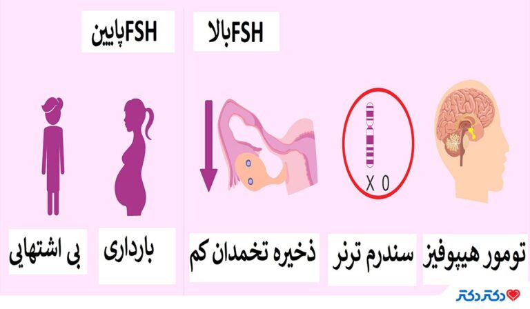 آزمایش هورمونی FSH؛ نحوه تفسیر و ارزیابی شانس بارداری